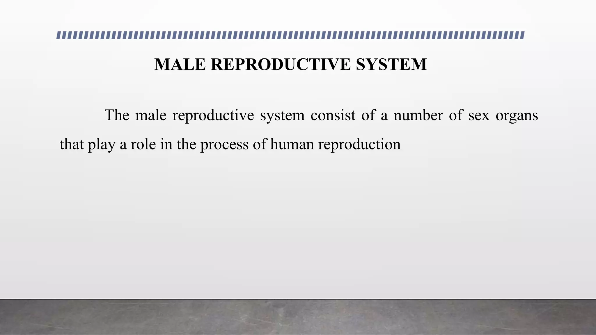 Human reproduction ppt | PPT