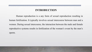 Human reproduction ppt | PPT