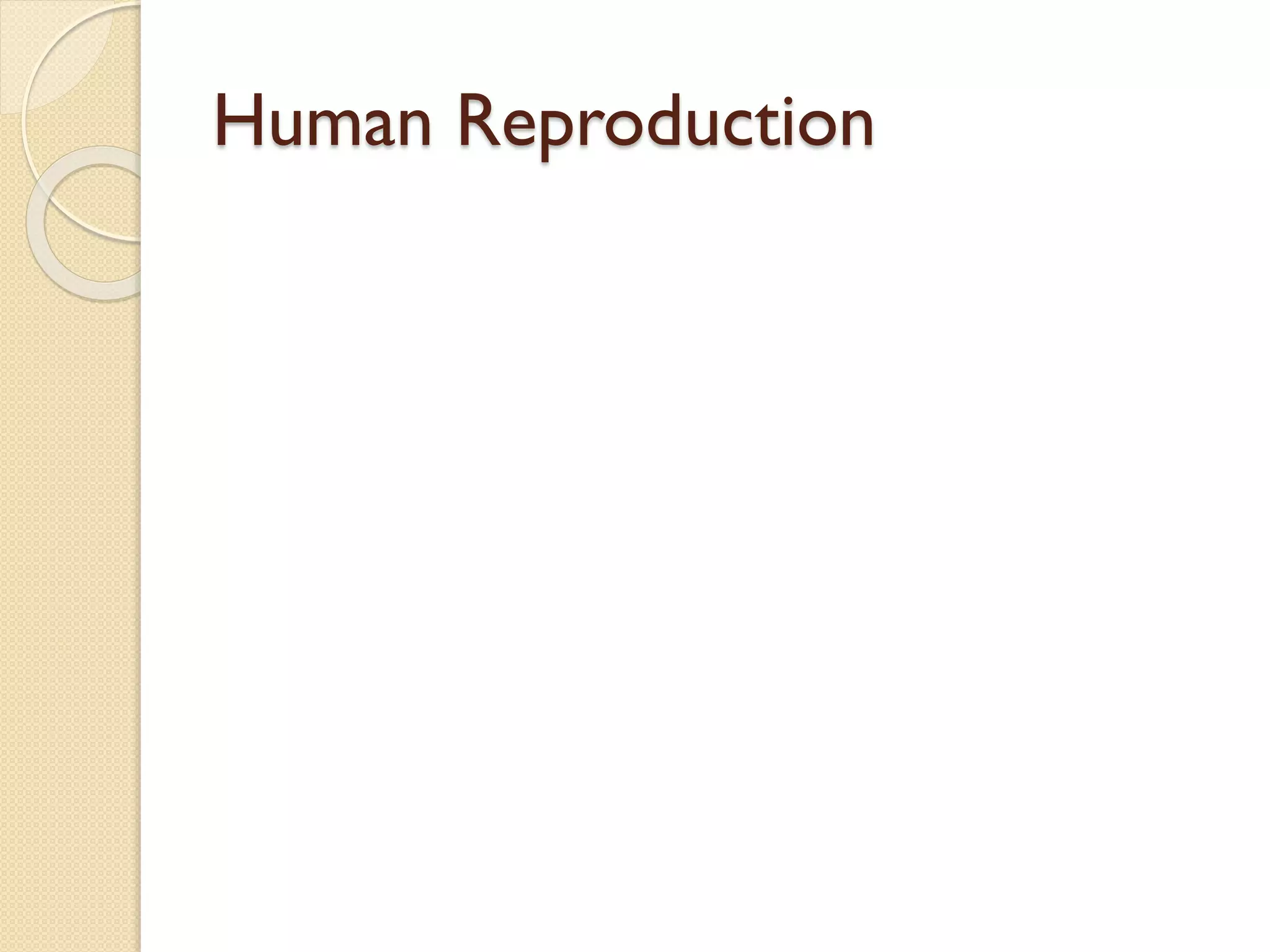 Human Reproduction | PPTX