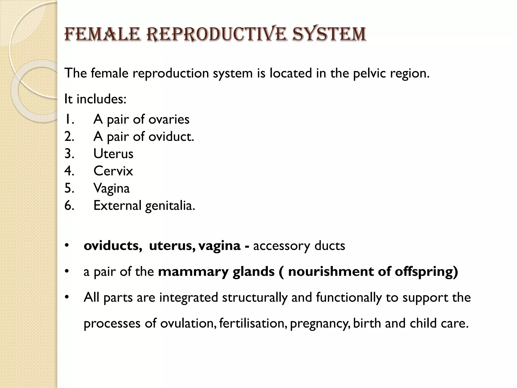 Human Reproduction | PPTX