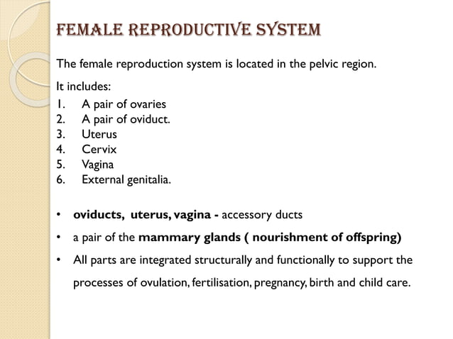Human Reproduction | PPTX