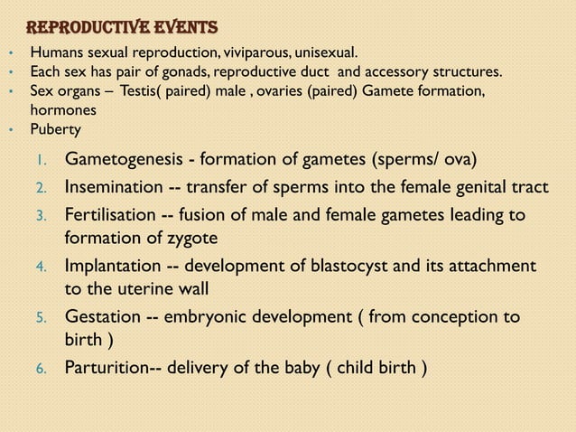 Human Reproduction | PPTX