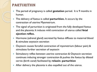 Human Reproduction | PPTX