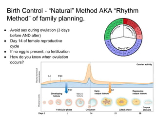 Human reproduction slides (BIOL1408) | PPT