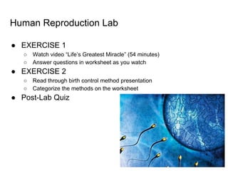 Human reproduction slides (BIOL1408) | PPT