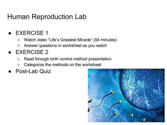 Human reproduction slides (BIOL1408) | PDF | Infertility | Reproductive ...