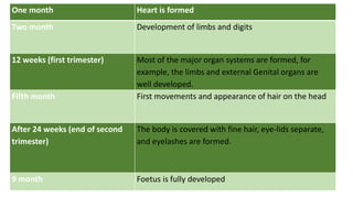 HUMAN REPRODUCTION .pptx class XII Biology | PPTX