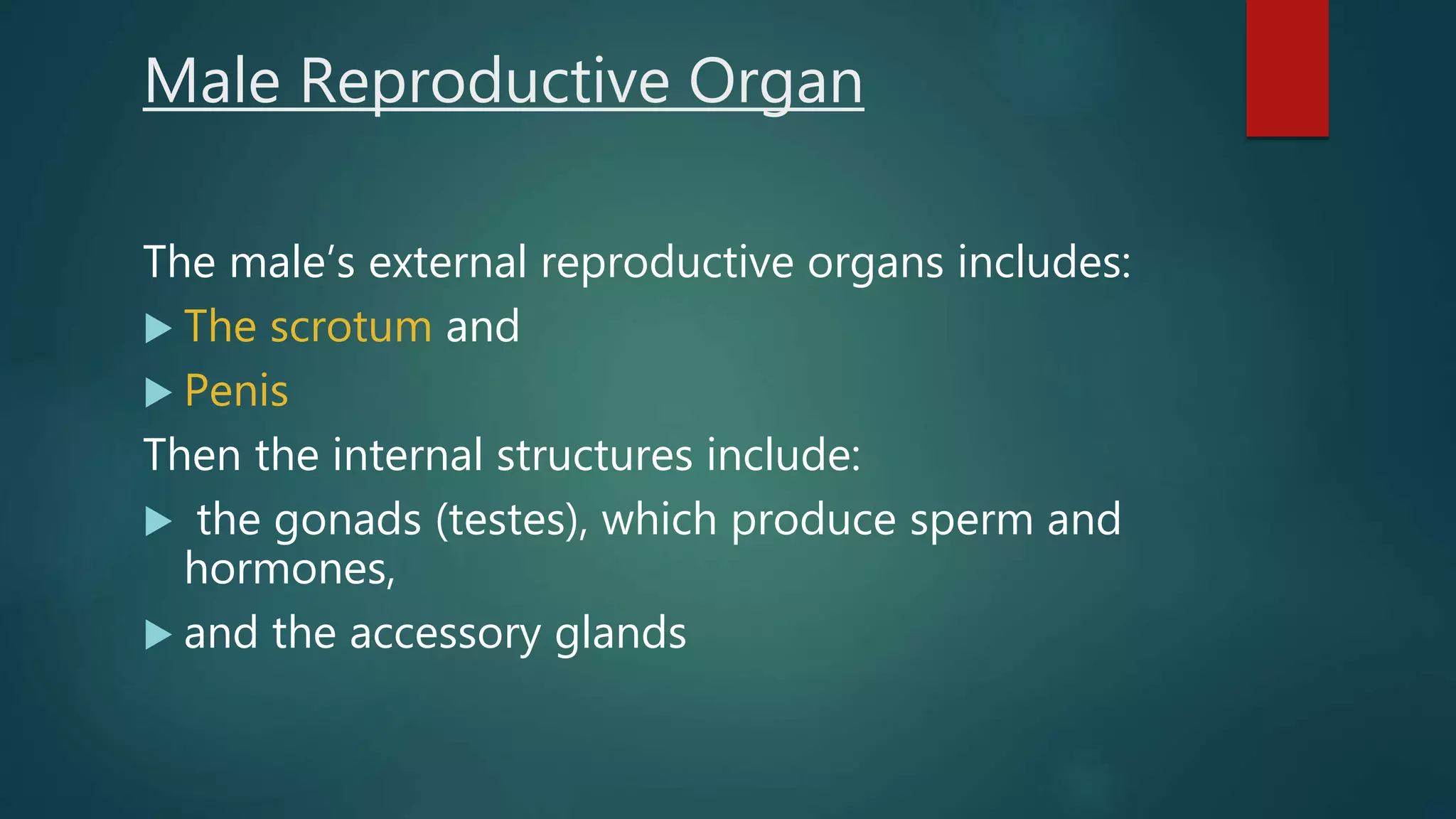 Human reproduction system | PPTX