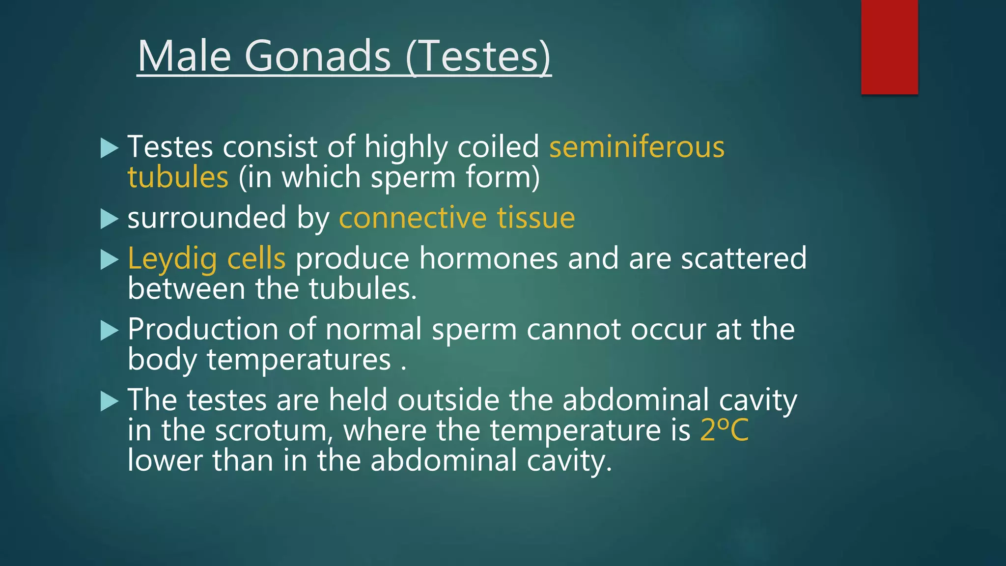 Human reproduction system | PPTX