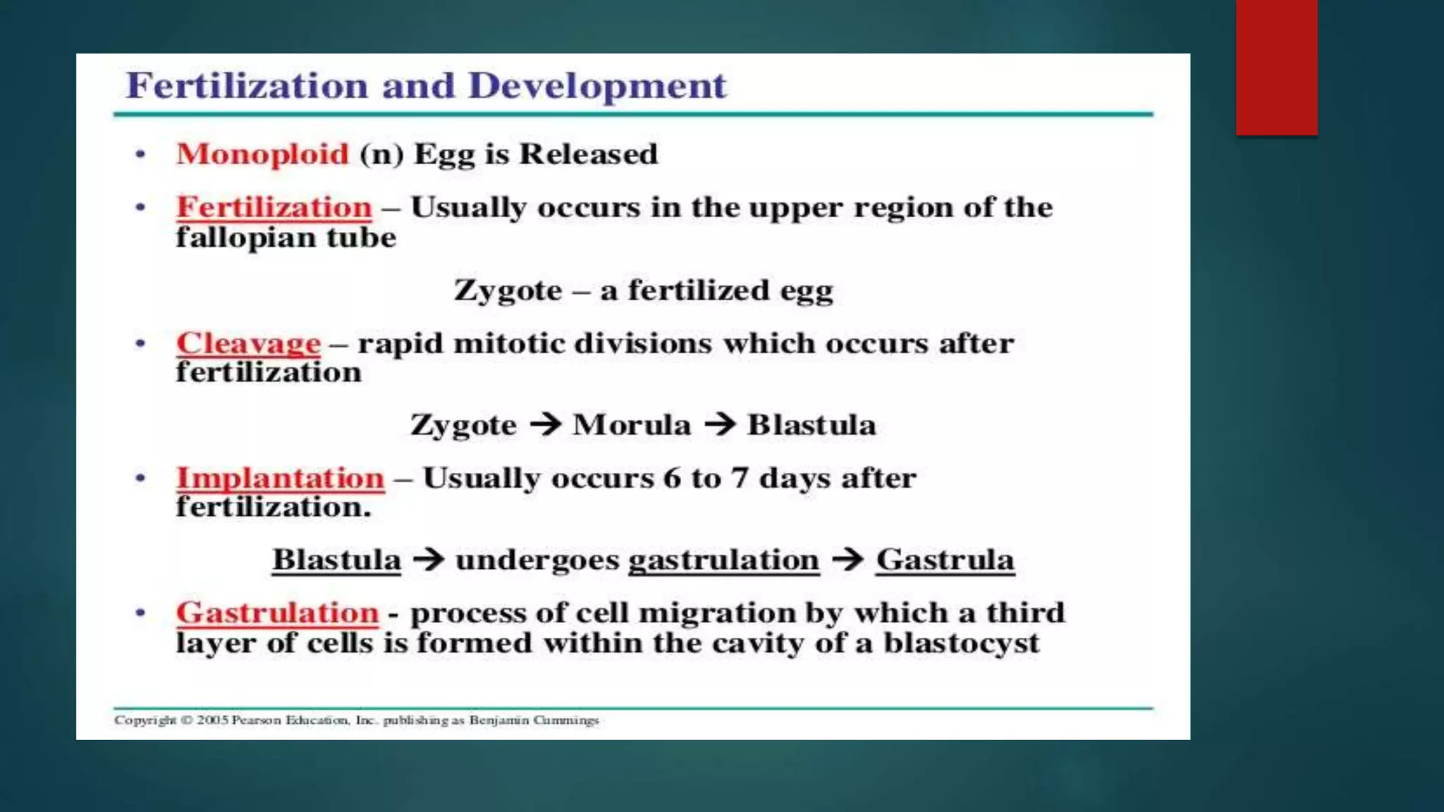 Human reproduction system | PPTX