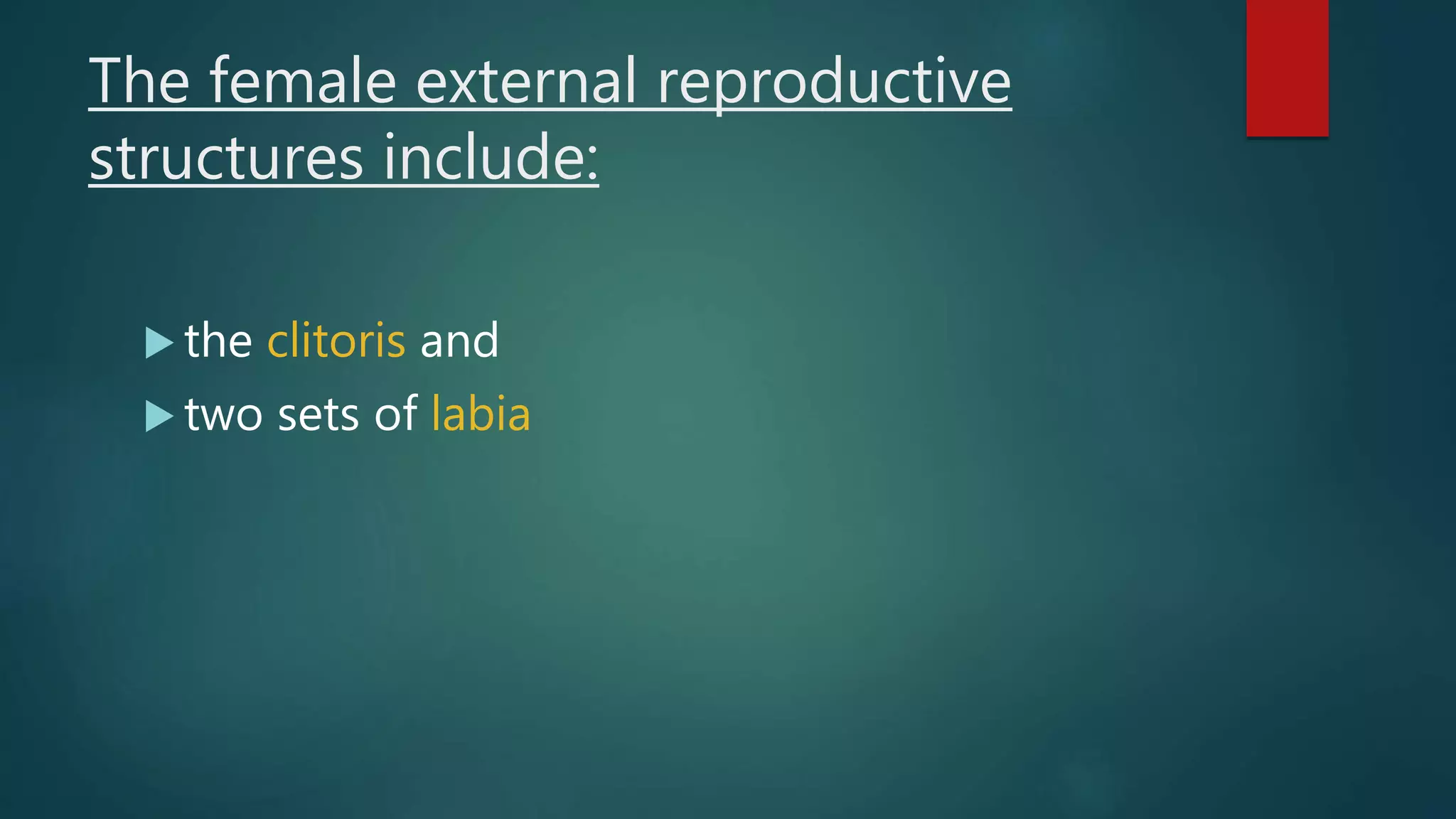 Human reproduction system | PPTX