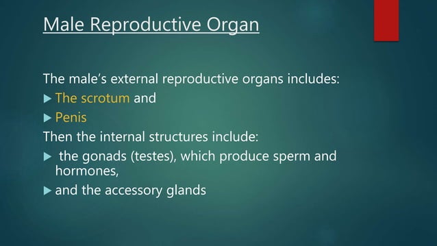 Human reproduction system | PPTX