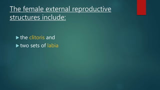Human reproduction system | PPTX