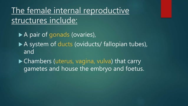 Human reproduction system | PPTX