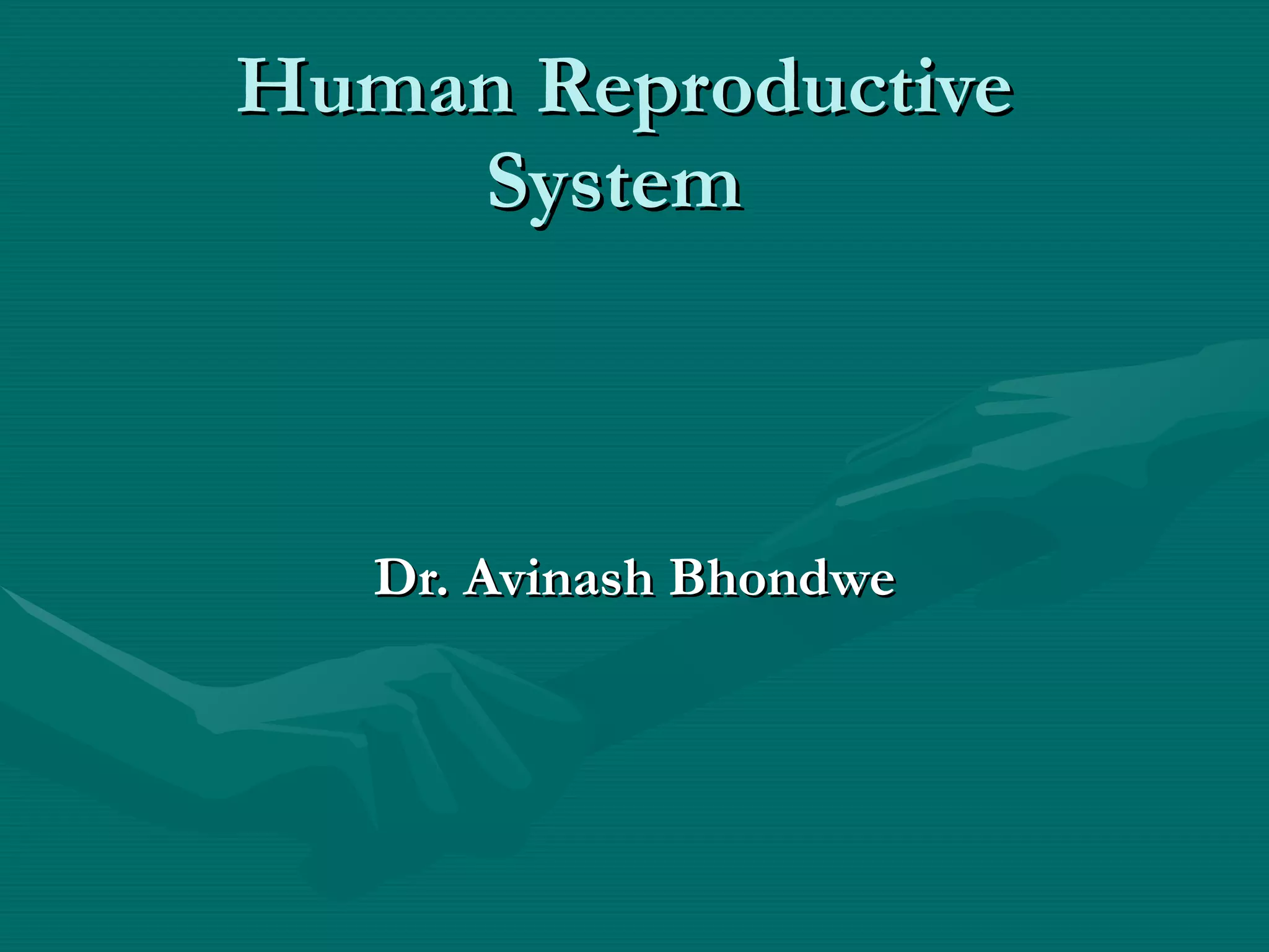 Human reproductive system | PPT