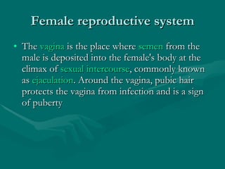 Human reproductive system | PPT