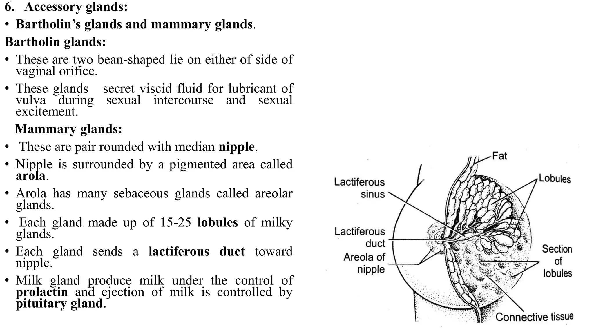 Human reproductive system BY Manoj Dhital(M.Sc Medical Microbiology ...