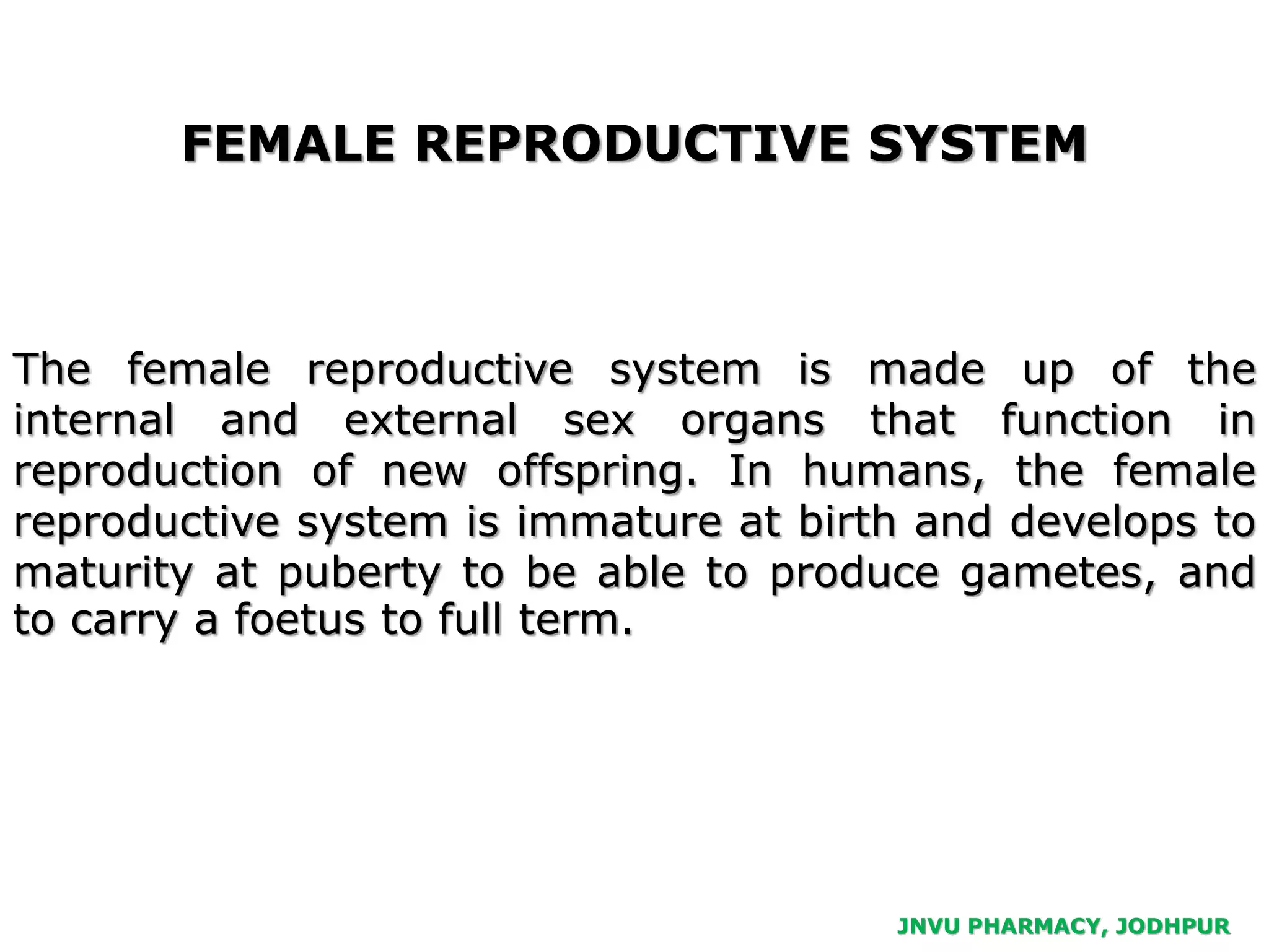 HUMAN REPRODUCTIVE SYSTEM | PPTX