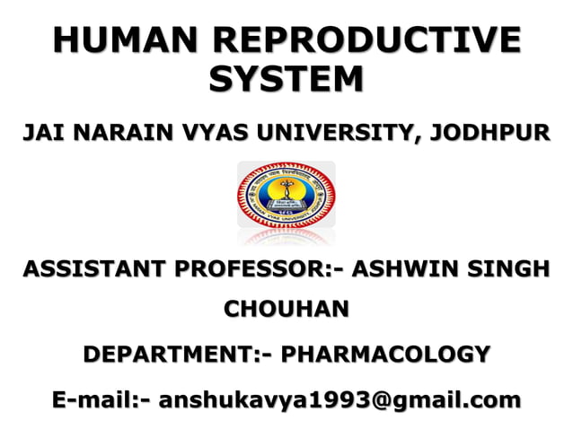 HUMAN REPRODUCTIVE SYSTEM | PPTX | Infertility | Reproductive Health