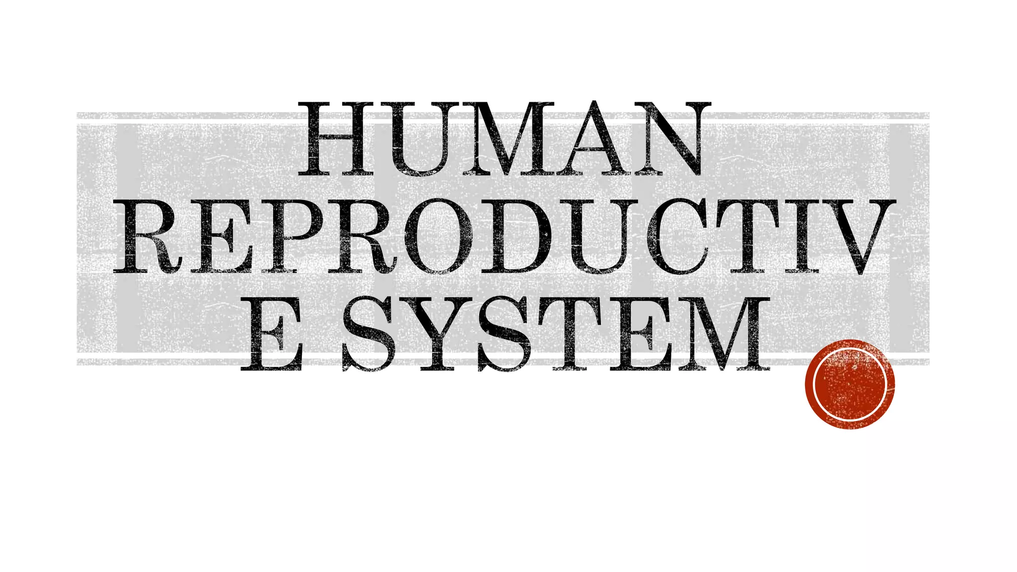 Human reproductive system | PPTX