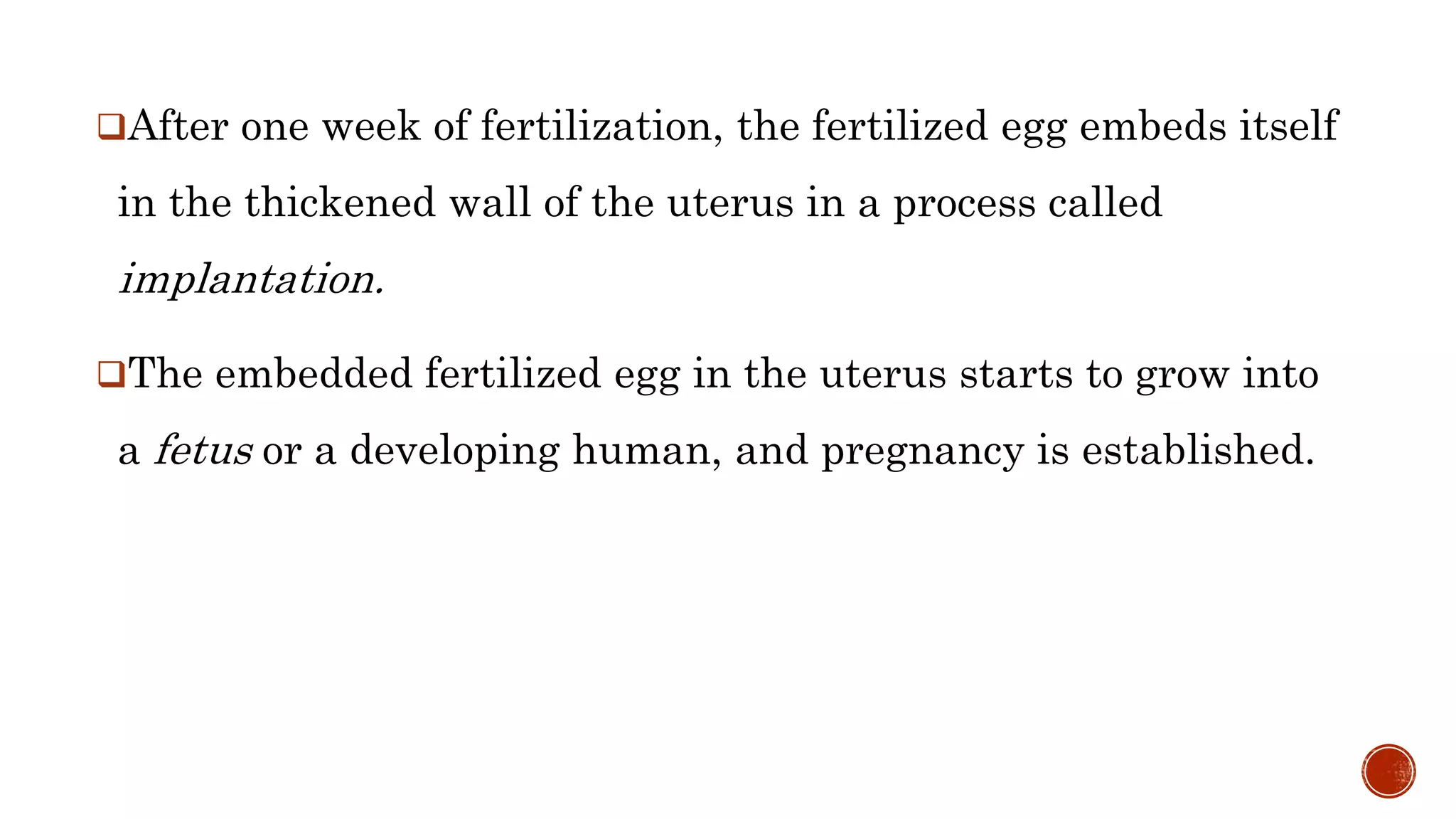 Human reproductive system | PPTX