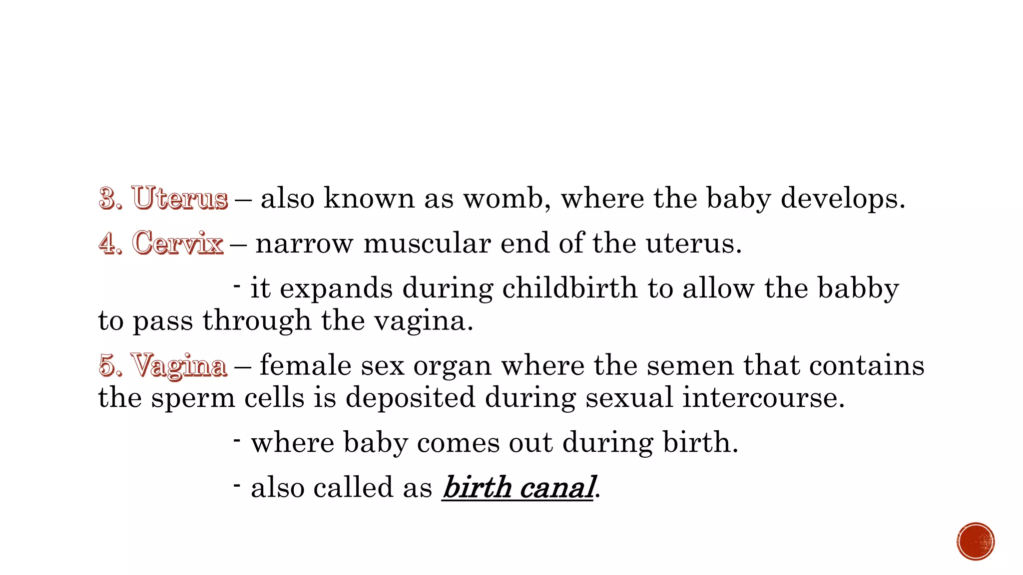 Human reproductive system | PPTX