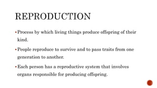Human reproductive system | PPTX