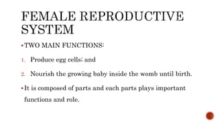 Human reproductive system | PPTX