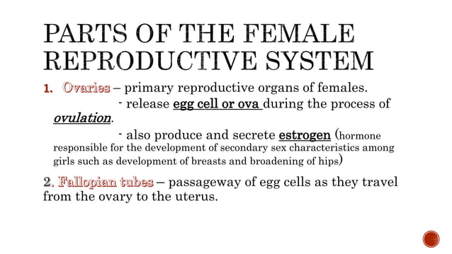 Human reproductive system | PPT