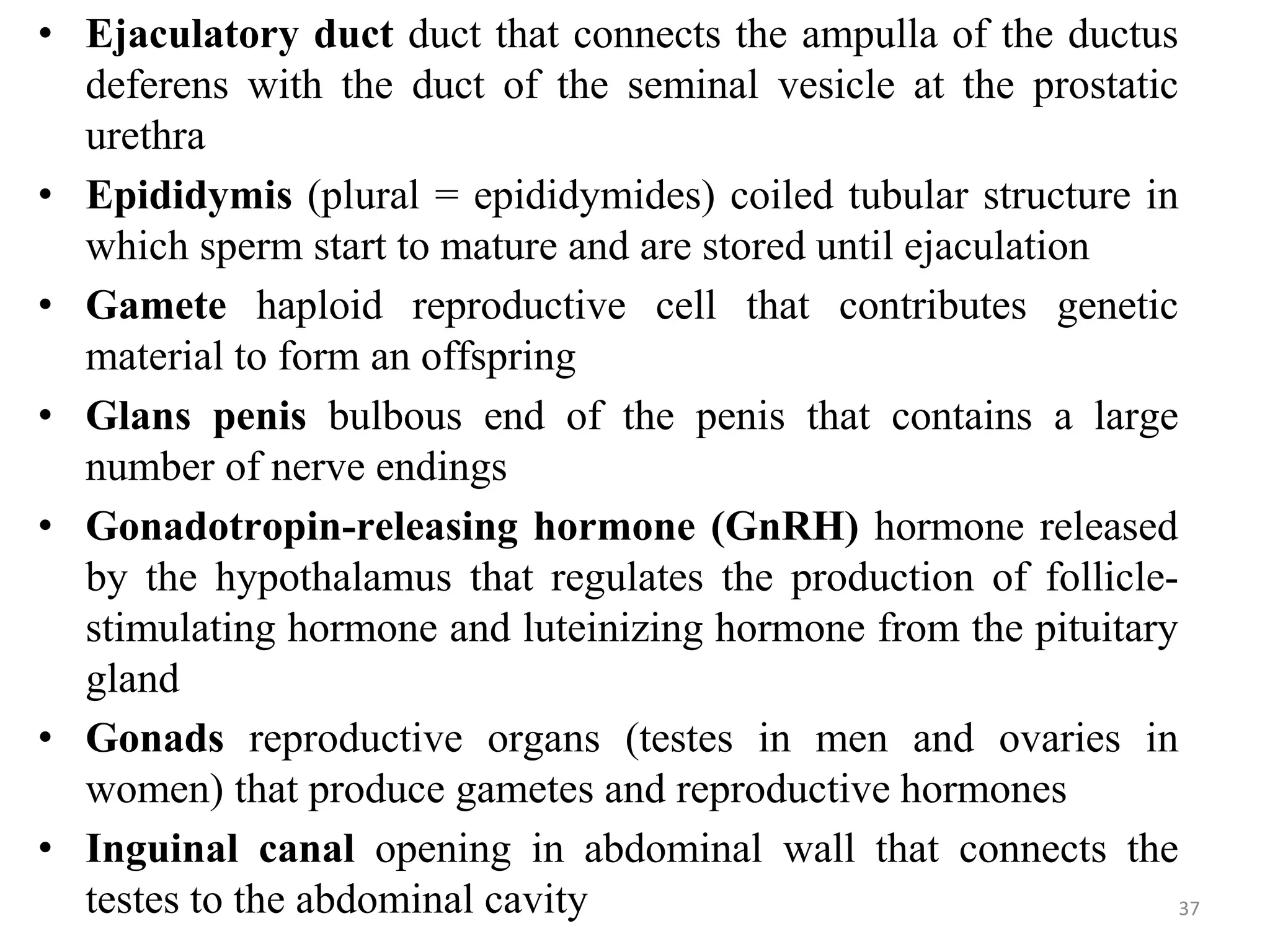 Human Reproductive System Ppt