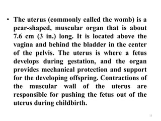 Human reproductive system | PPTX