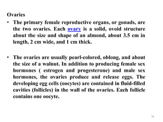 Human reproductive system | PPTX