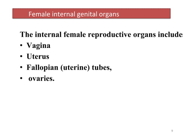 Human reproductive system | PPTX