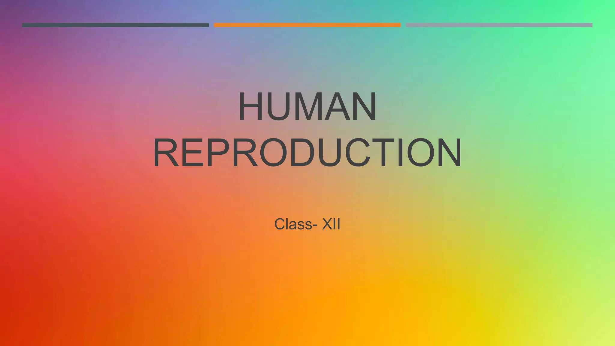 Human Reproductive System Pptx