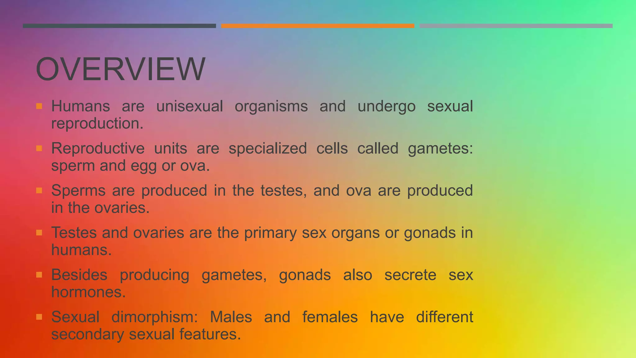 Human Reproductive System.pptx | Infertility | Reproductive Health
