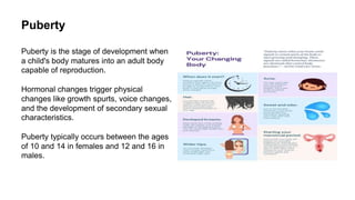 Human Reproductive System by Ishu .pptx