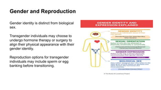 Human Reproductive System by Ishu .pptx