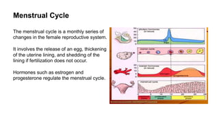 Human Reproductive System by Ishu .pptx