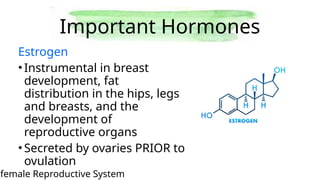 Human Reproductive System ang their functions..pptx