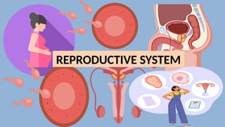 HUMAN REPRODUCTIVE SYSTEM PPT Science Class | PPT