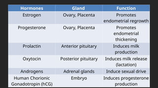 HUMAN REPRODUCTIVE SYSTEM PPT Science Class | PPTX