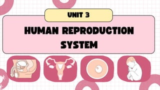 Human Reproductive System for grade 7 science | PDF