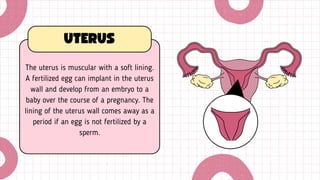 Human Reproductive System for grade 7 science | PDF