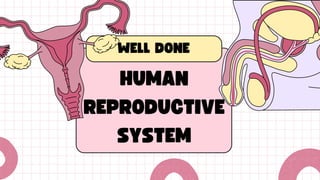 Human Reproductive System for grade 7 science | PDF