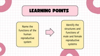 Human Reproductive System for grade 7 science | PDF