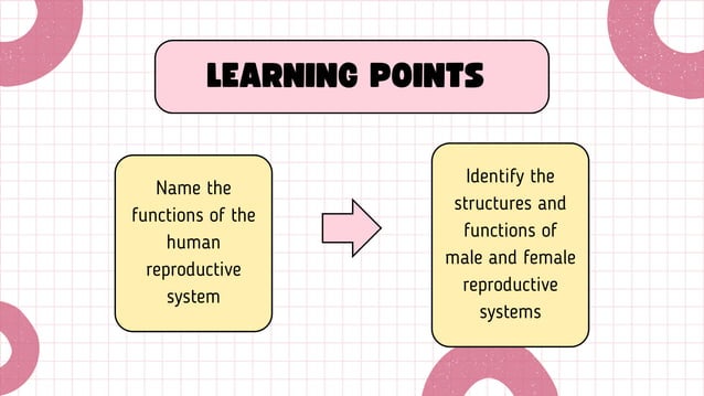 Human Reproductive System for grade 7 science | PDF