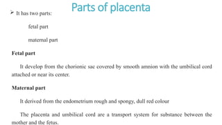 Human Reproductive system obg unit 2.pptx