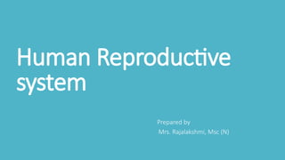 Human Reproductive system.pptx notes ppt | PPTX