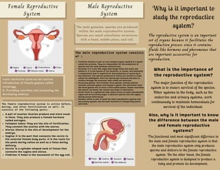 Human Reproductive System_Brochure.pdf
