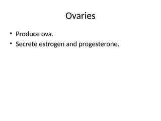 Human_Reproductive_System_Class_10_ICSE_DETAILED.pptx